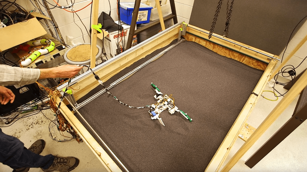 Robot Recreates The First Vertebrate To "Walk" On Land | IFLScience