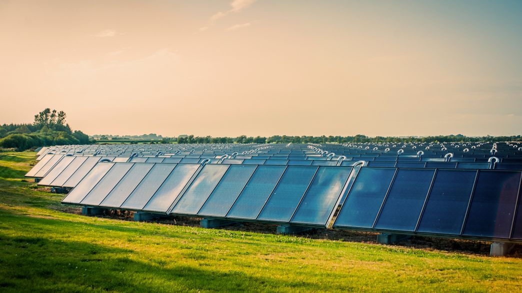 Understanding The Environmental Impact of Solar Parks | IFLScience