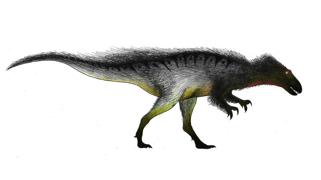 Into the World of Megaraptor: Examining Its Extraordinary ...