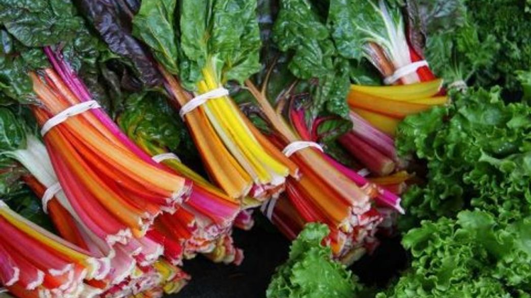 The 41 Most Nutritious Foods On Earth | IFLScience