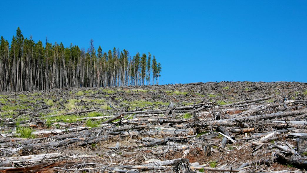 We Have Already Used Up This Year's Supply Of Natural Resources ...