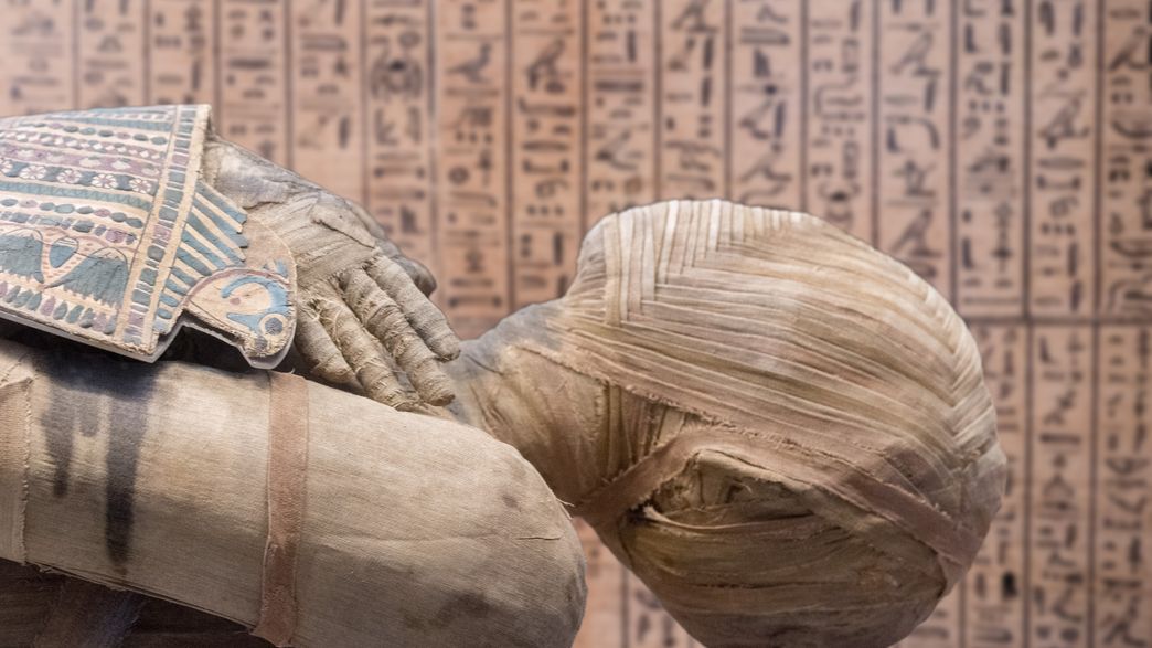 One Researcher Has Been Mummifying Mice In Order To Study Cancer ...