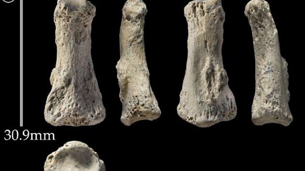 World’s Oldest Human Bone Reportedly Found In Saudi Arabia | IFLScience