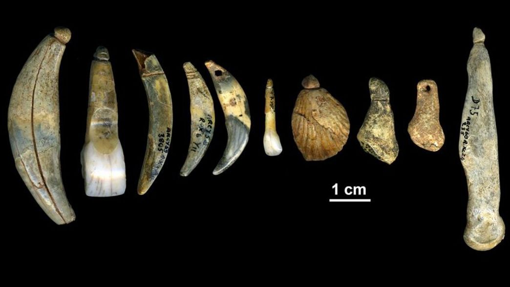 Neanderthals Made Jewelry, New Study Confirms | IFLScience
