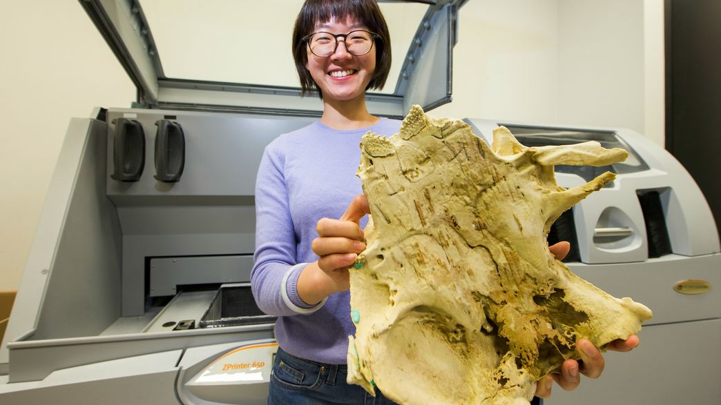 "Toothless" 400 Million-Year-Old Fish Fossil Hints At Later Origin Of ...