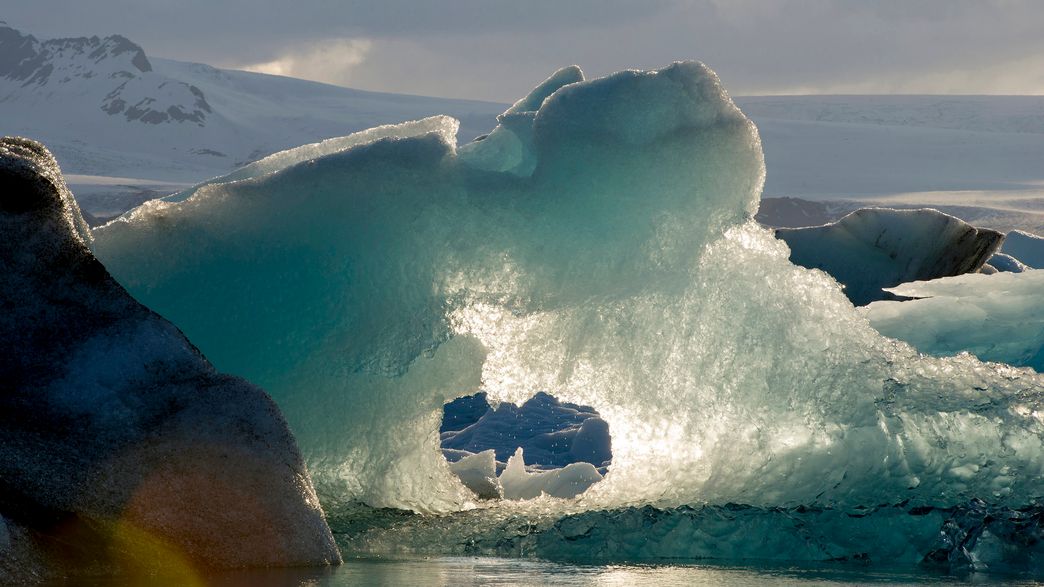 How You Can Help In The Fight Against Climate Change | IFLScience
