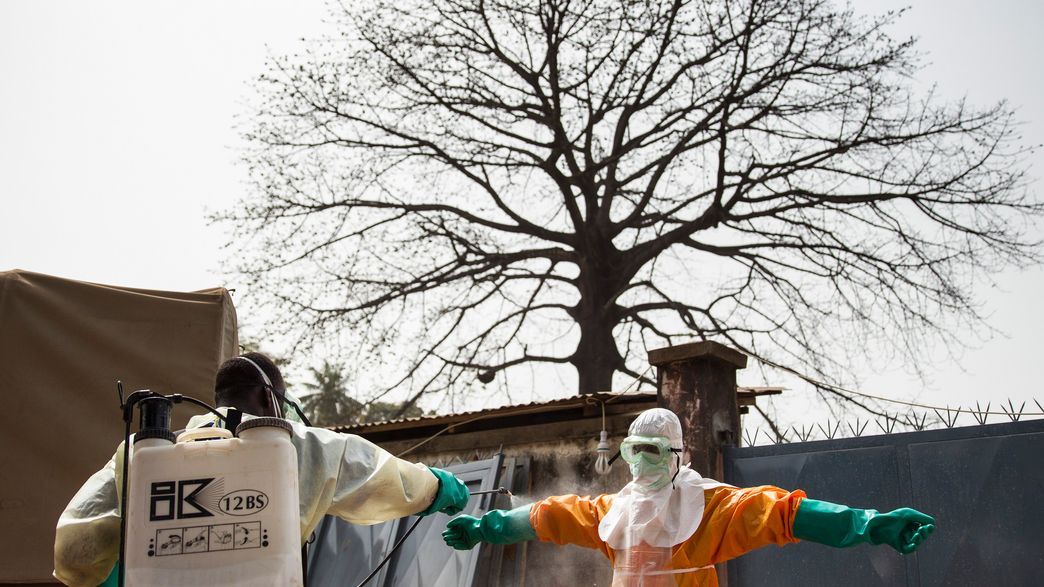 Ebola Evolved To Become More Deadly During The Recent Outbreak | IFLScience
