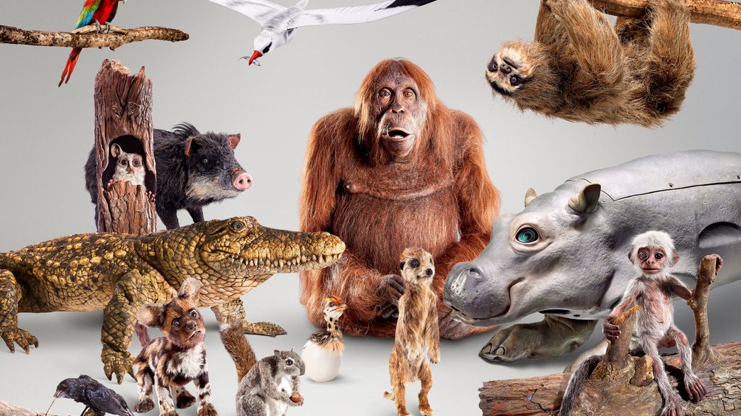 New Animatronic Cameras Deployed To Film Wildlife Like Never Before ...