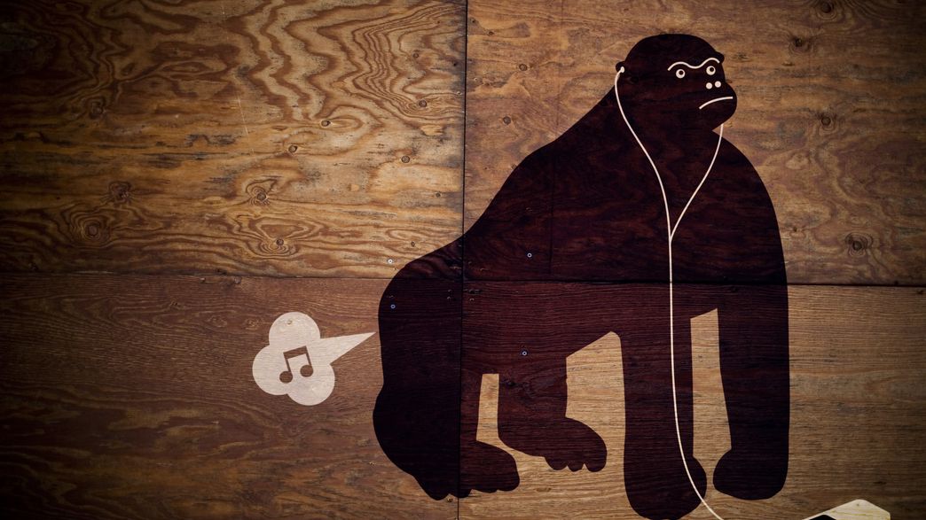 Here's A Glorious List Of All The Animals Known To Fart | IFLScience