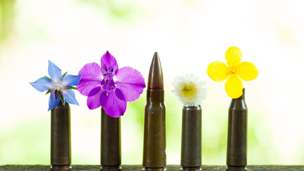 The US Army Wants To Design Biodegradable Plant-Growing Bullets ...