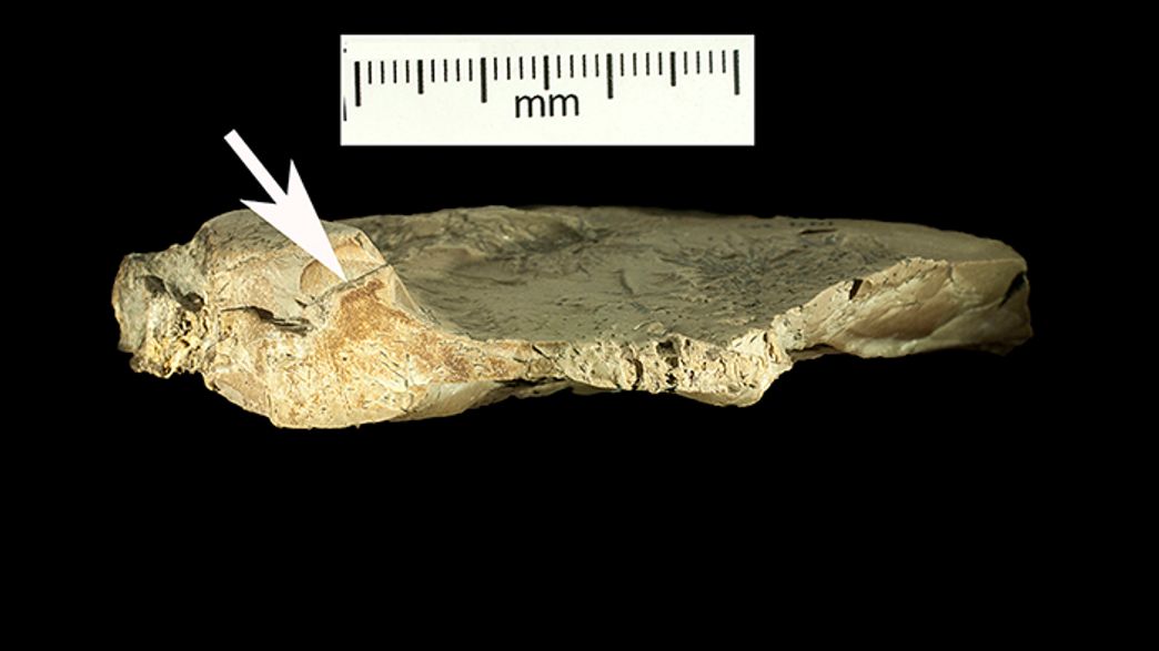 Neanderthals Invented Geology, Or At Least Rock Collecting | IFLScience