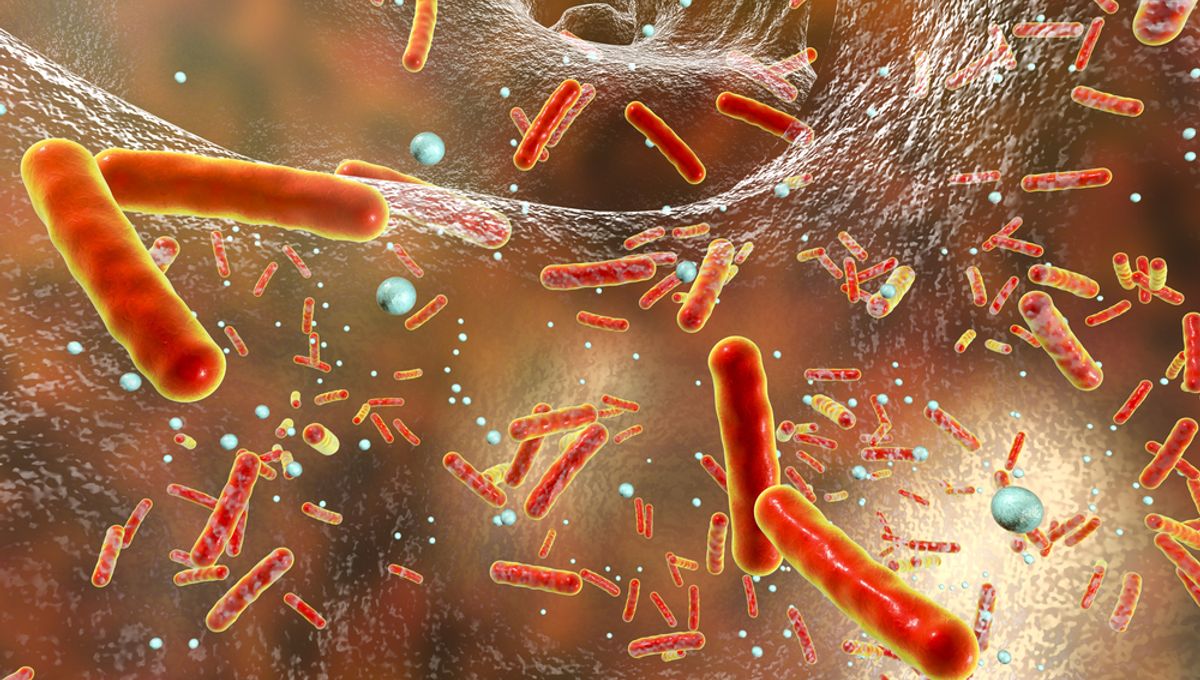 This Terrifying Video Shows One Of The Most Dangerous Threats Facing ...