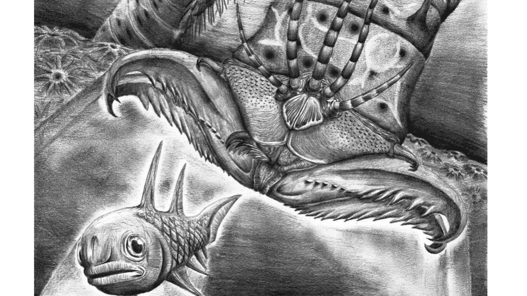 Gigantic Extinct Worm With Impressively Large Jaws Discovered In Canada ...