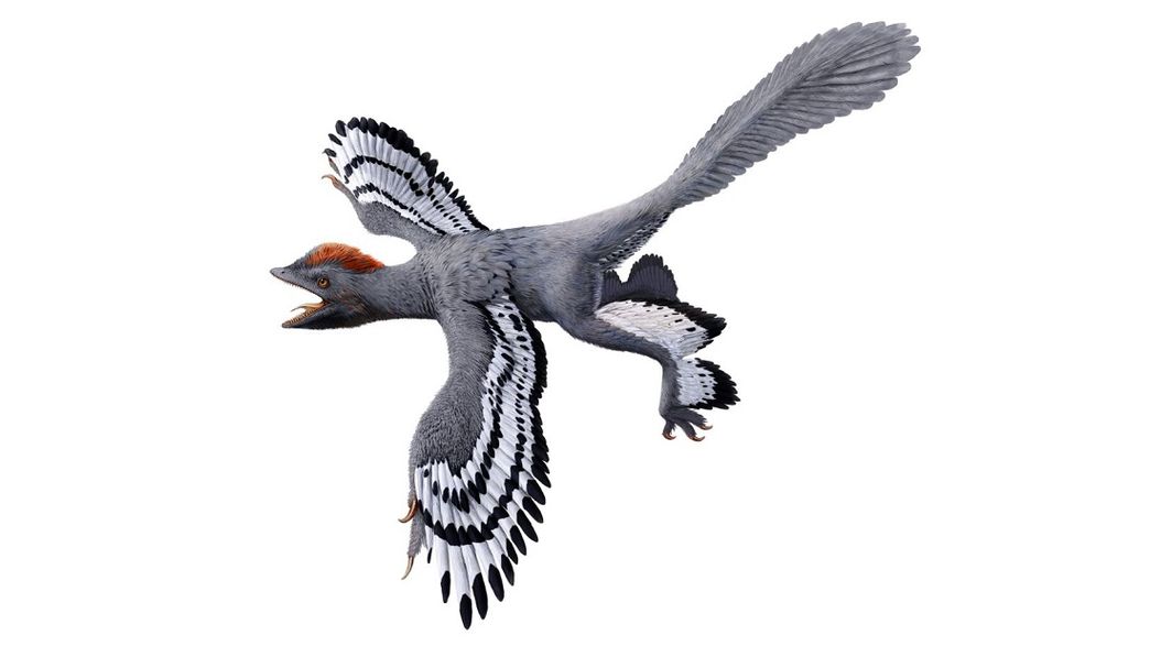 This Might Be The Most Accurate Dinosaur You've Ever Seen | IFLScience