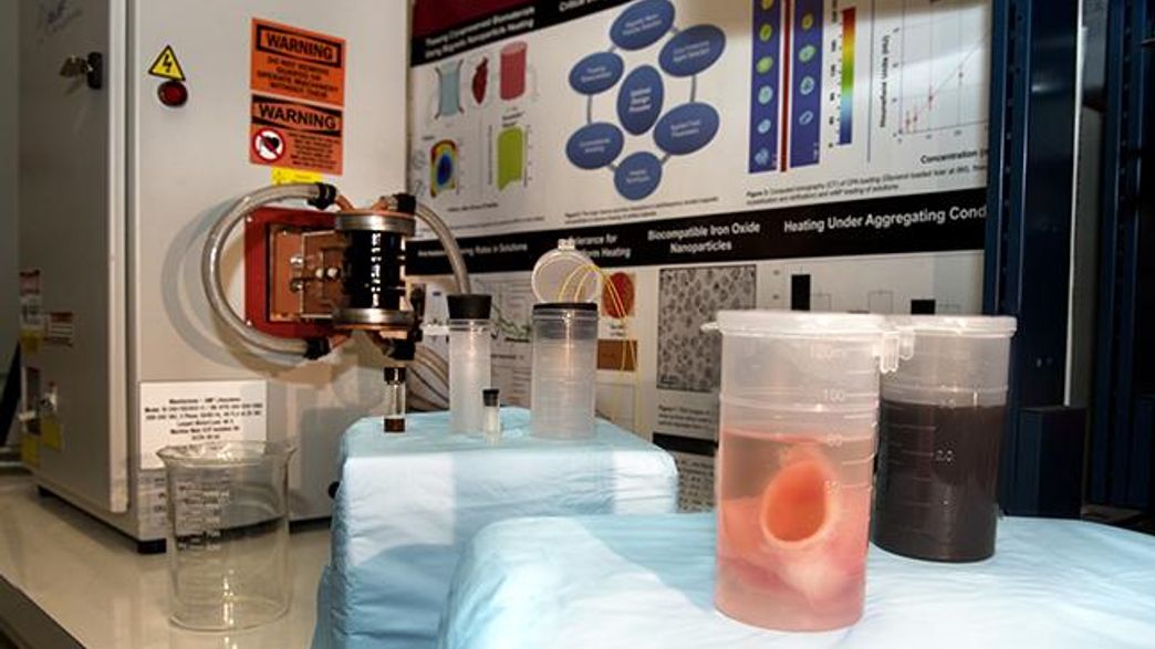 Breakthrough For Organ Transplants As Heart Tissue Deep Frozen And ...