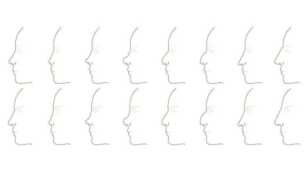 How Climate May Have Shaped Our Noses | IFLScience