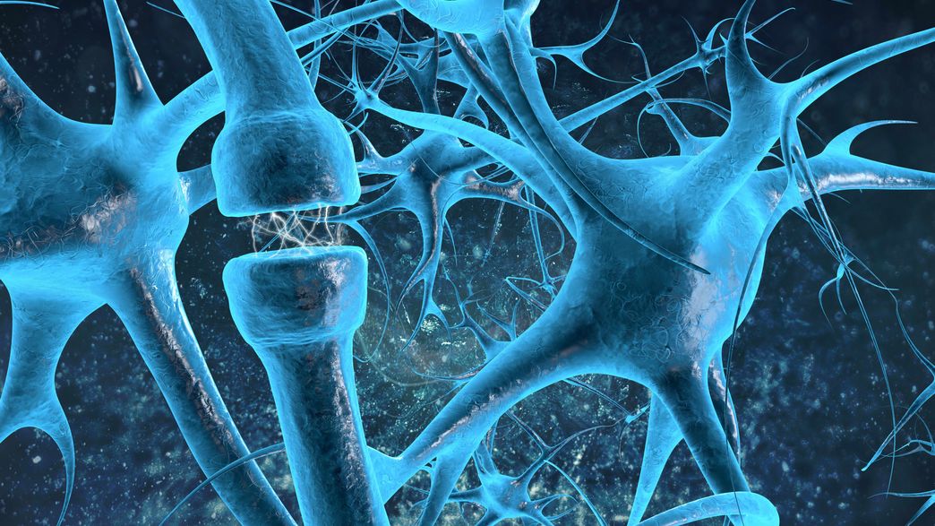 Scientists Create An Artificial Synapse That Can Learn Autonomously ...