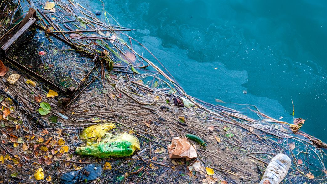 Two Colossal Plastic Garbage Patches Discovered In Arctic Ocean ...