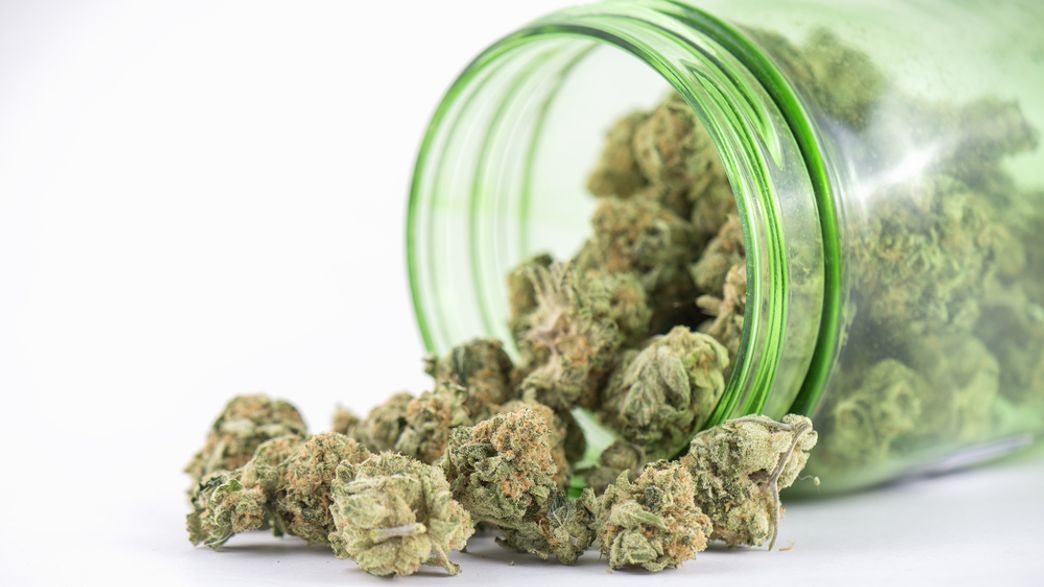 THC In Cannabis Boosts Cognition In Old Mice | IFLScience