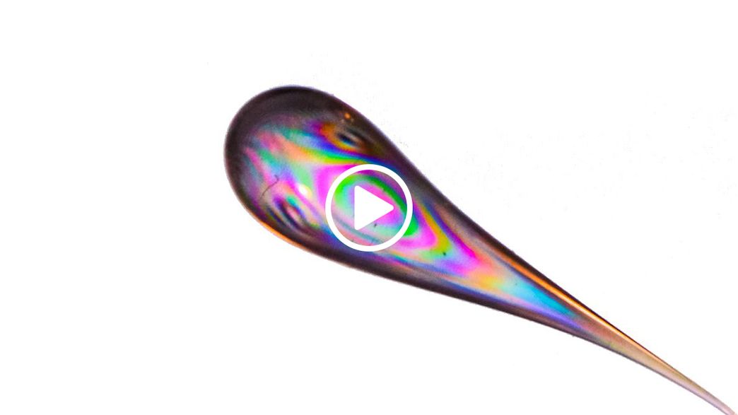 Researchers Believe They Have Solved The 400 Year Old Mystery Of Prince ...