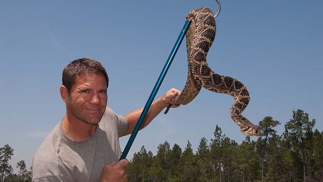 Florida Man's Attempt To Kiss Rattlesnake Goes Horribly Wrong | IFLScience