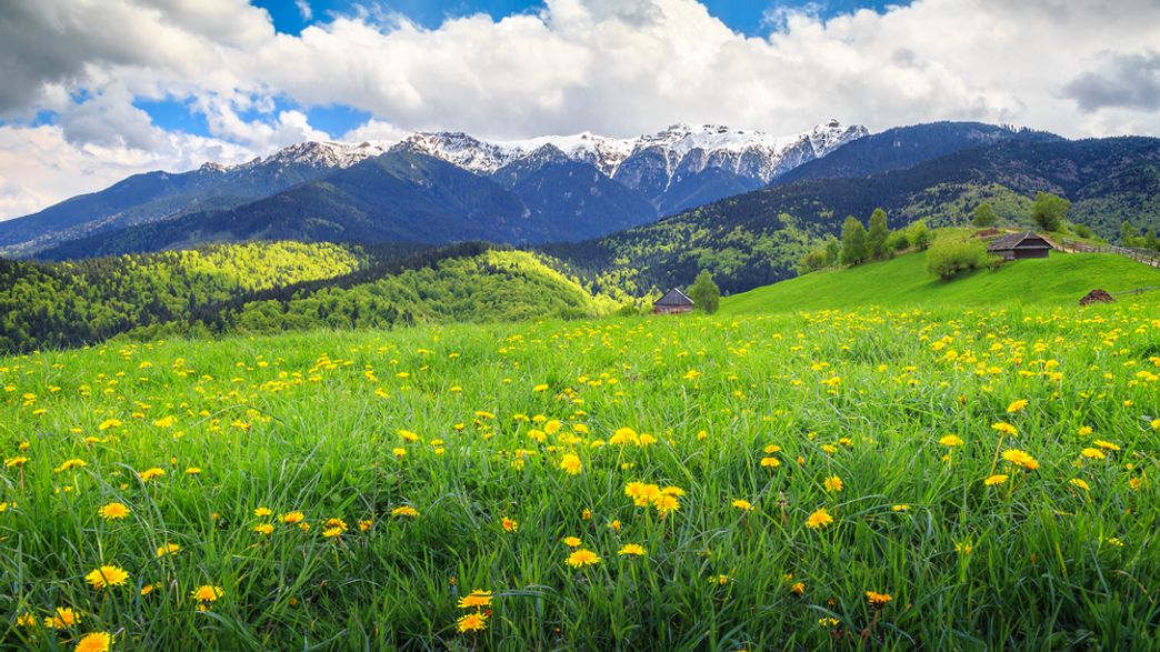 Human And Chimpanzee Split May Have Occurred In Europe Not Africa