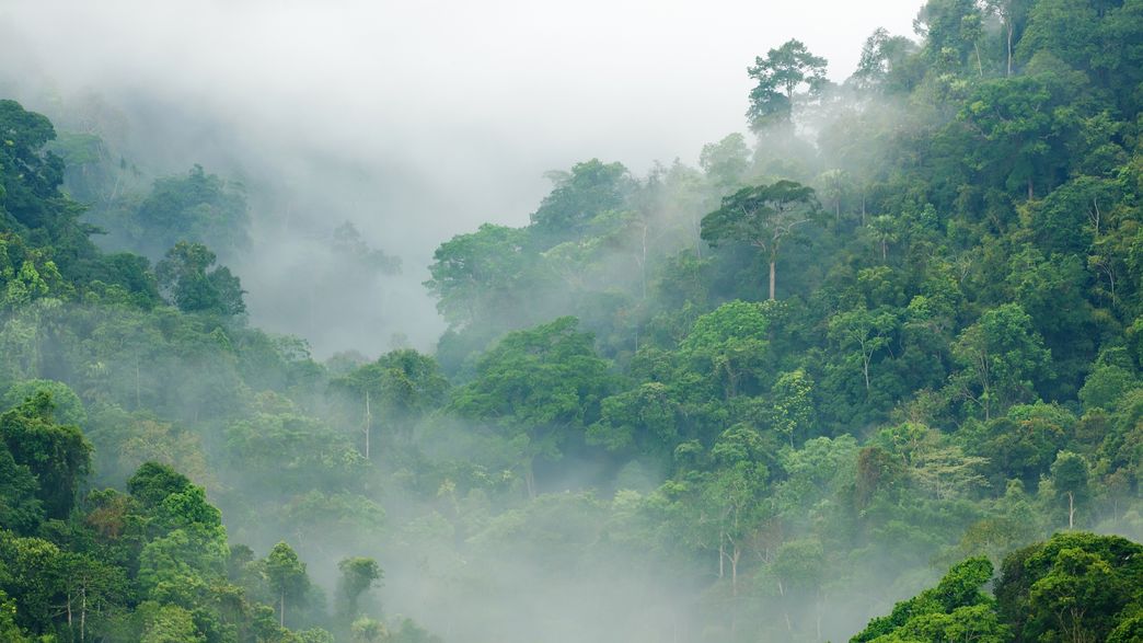 What's Causing The Tropics To Expand So Quickly? | IFLScience