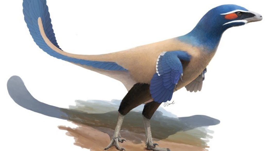 This Bird-Like Dinosaur Walked Around Canada 71 Million Years Ago ...