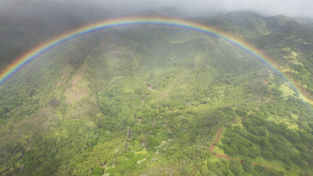 Rare Full-Circle Rainbow Captured In Spectacular Footage From Top Of ...