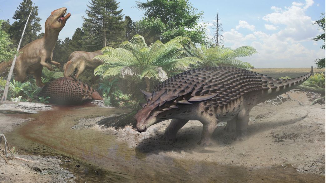 Spectacularly Well-Preserved Dinosaur Used Camouflage Despite Its Heavy ...