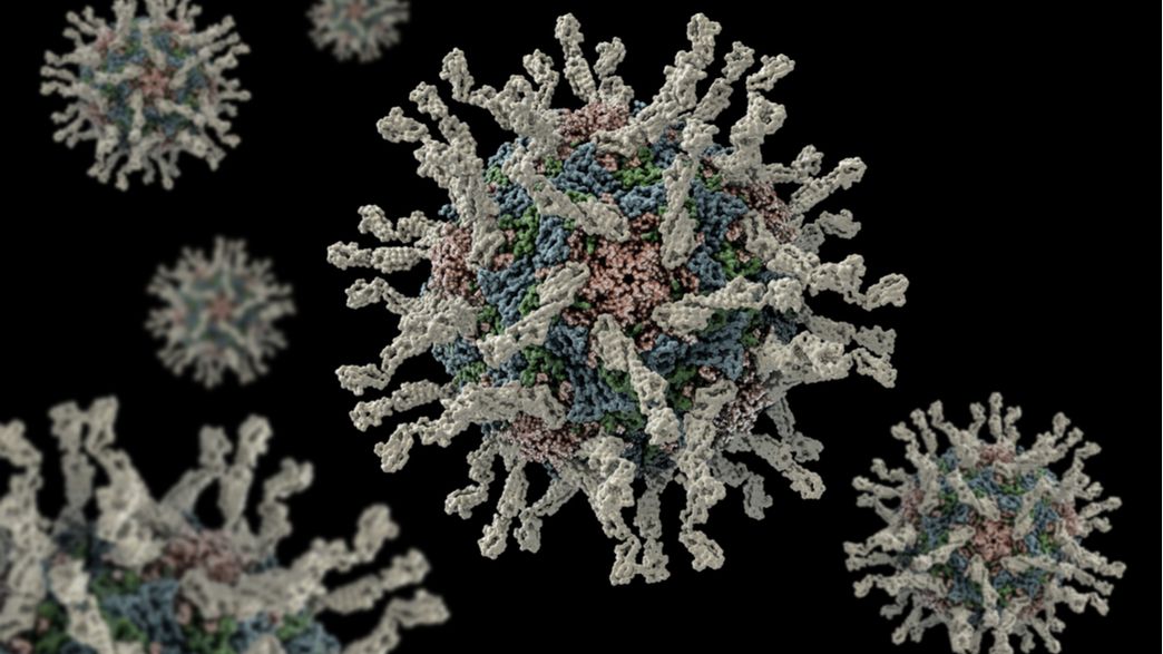 New Type Of Polio Vaccine Created By Hijacking Plant Cells | IFLScience