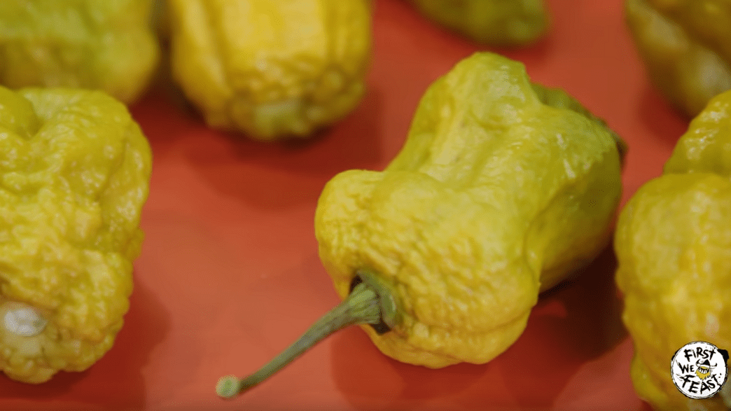 Pepper X Set To Smash World's Hottest Chili Record | IFLScience
