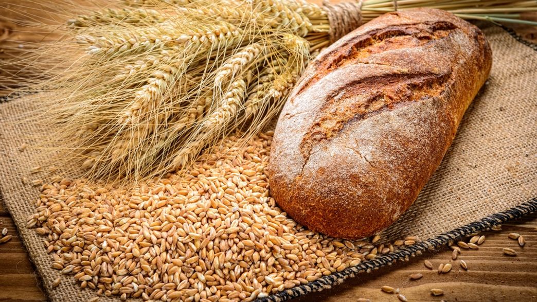 Genetically Modified Wheat Could Give Celiacs Their Daily Bread ...