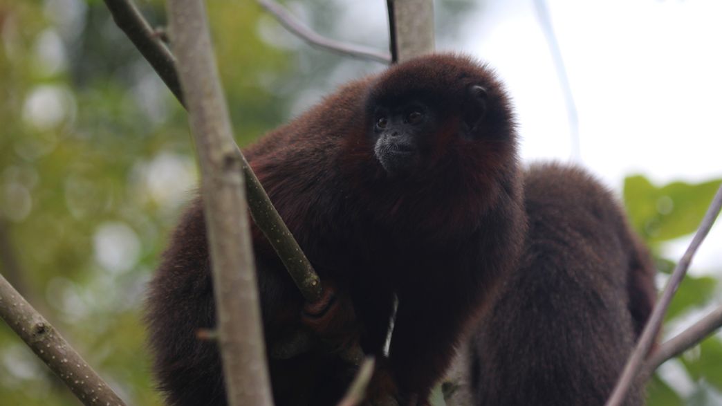 This Is The Part Of Your Brain That Experiences Jealousy | IFLScience