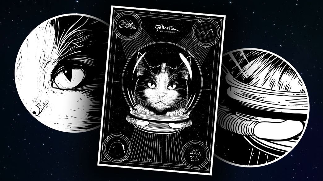 World's First Space Cat May Finally Get The Recognition She Deserves ...