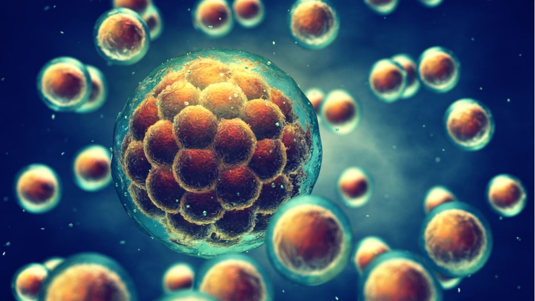 Scientists Have Grown Human Brain Cells Inside Rats And Mice | IFLScience