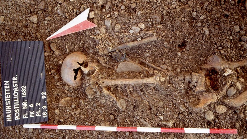 The Plague May Have First Arrived In Europe During The Stone Age ...