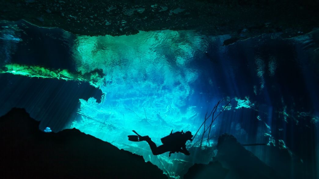 Bizarre Methane-Eating Creatures Found Inside Flooded Mexican Caves ...