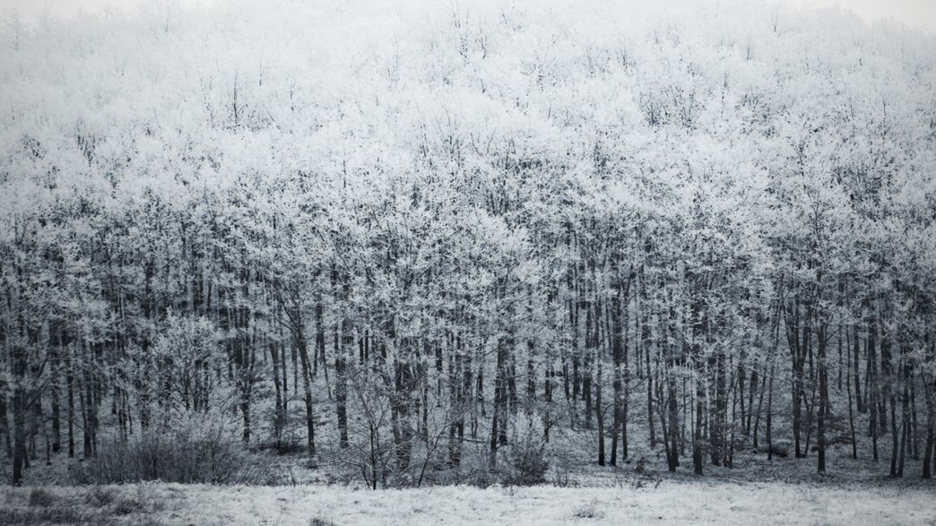 Why Winter Is Coming And How It Can Be Stopped | IFLScience