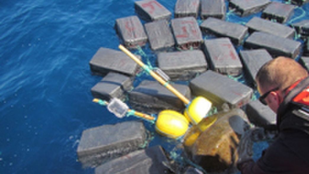 Turtle Gets Tangled Up In Multi-Million-Dollar Cocaine Deal | IFLScience