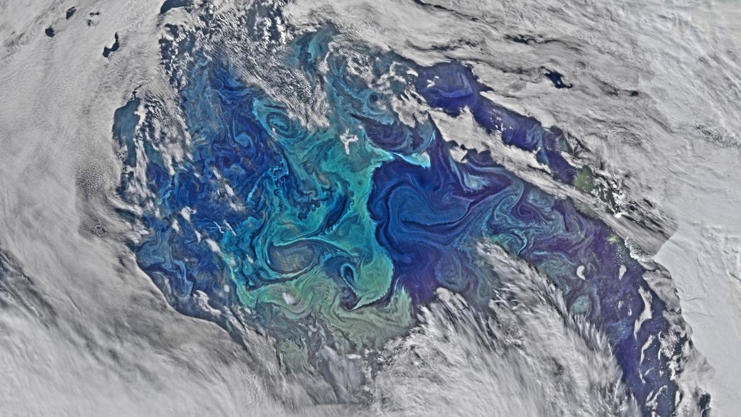 Earth's Oceans Are Choking To Death | IFLScience