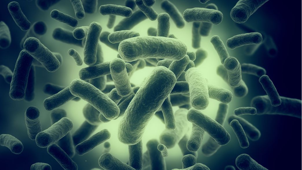 Bacteria In Our Gut Can Alter Gene Expression In Our Cells And ...