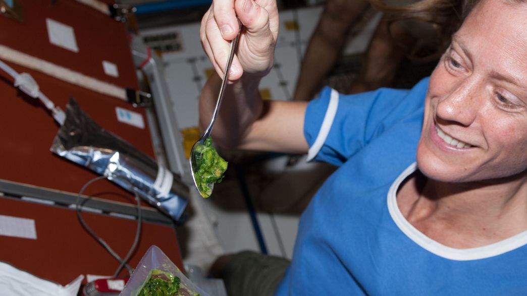 Scientists Have Worked Out How To Turn Human Waste Into Edible Food ...