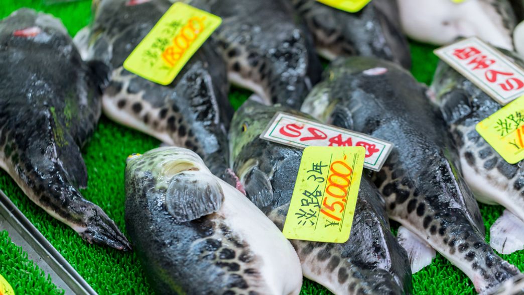 The Deadliest And Most Dangerous Foods In Existence | IFLScience