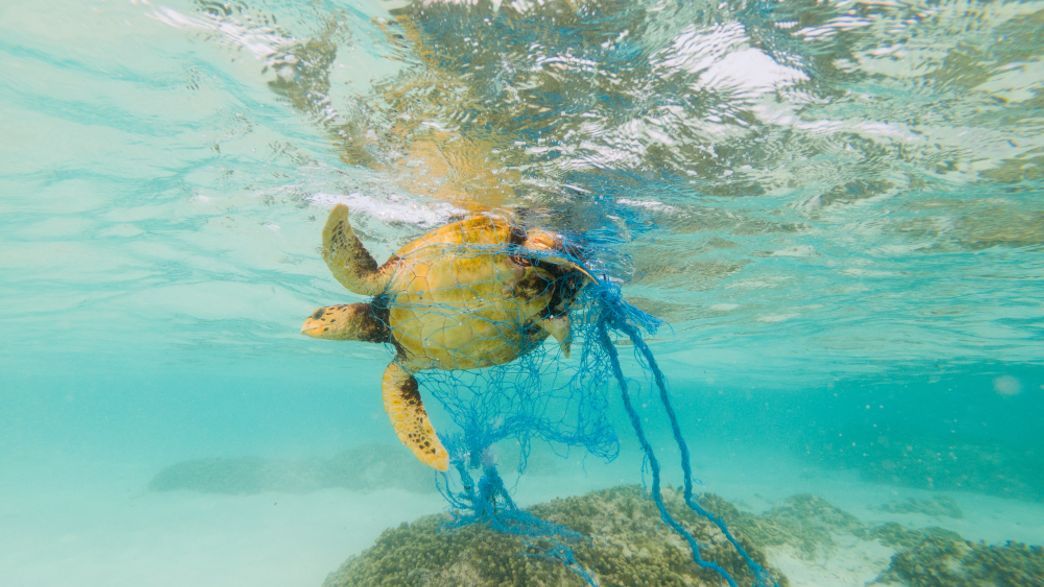 A Massive 640,000 Tonnes Of "Ghost" Fishing Gear Enter Our Seas Each ...