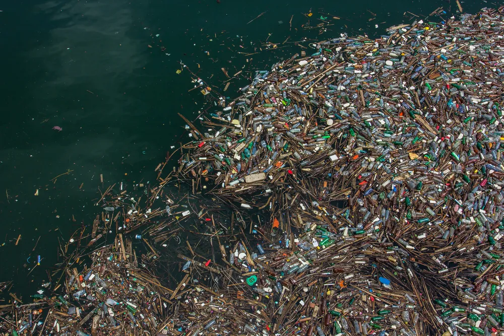 Plastic Pollution In Water