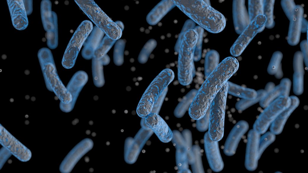 Scientists Solve 30-Year Mystery Of How Bacterium Manufactures Fuel ...