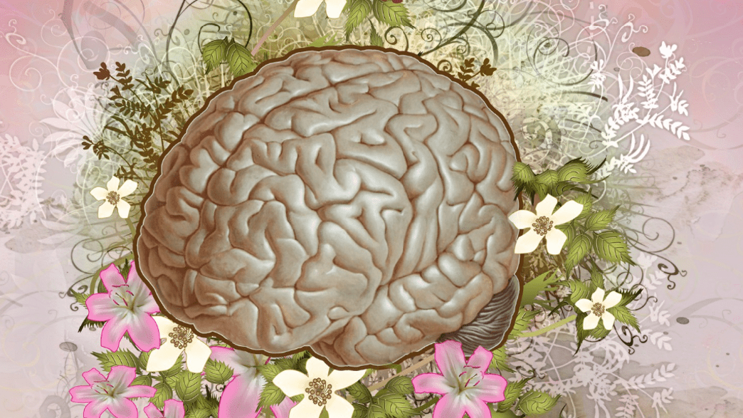 These Are Some Of The Weirdest Human Brains Ever Found | IFLScience