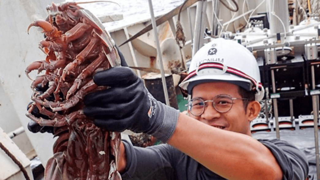 Expedition To The Indonesian Deep Sea Finds 12,000 Marine Creatures And ...