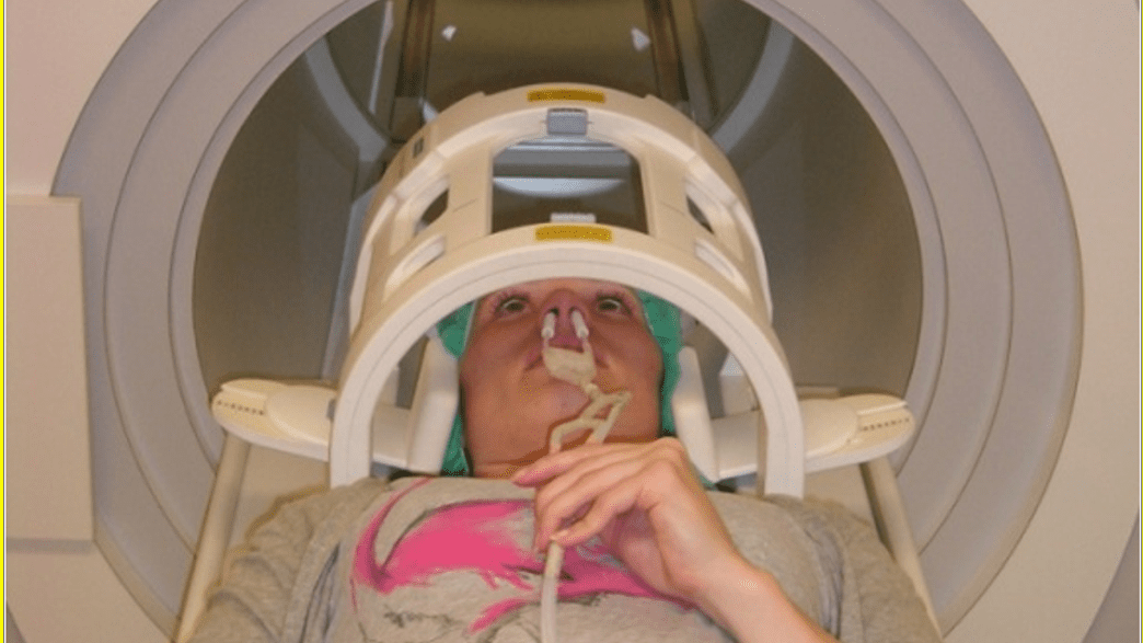 Born This Way: Transgender Brains Show Similarity To Those Of Their ...